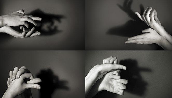Animal Hand Shadows, How To Make Shadow Puppets, Hand Shadows On The Wall