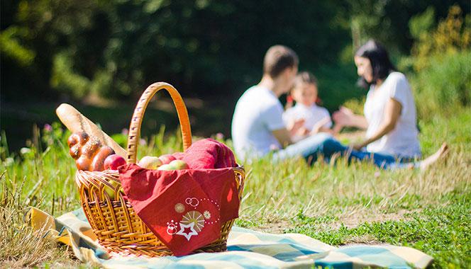 Picnic with family, ways to destress, checklist for picnic